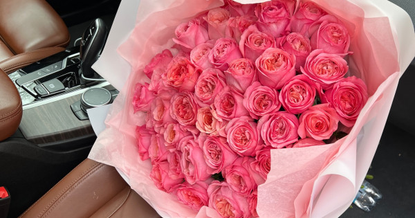 Peony roses Pink Expression - PrefereFleur